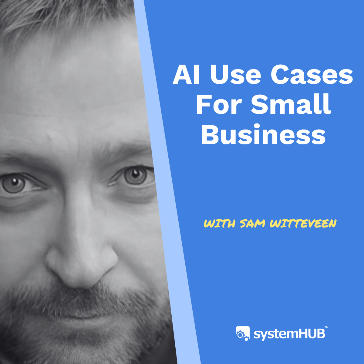 AI Use Cases For Small Business | Sam Witteveen